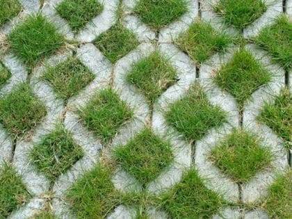 What Are Permeable Pavers and How They Help with Water? | DIY
