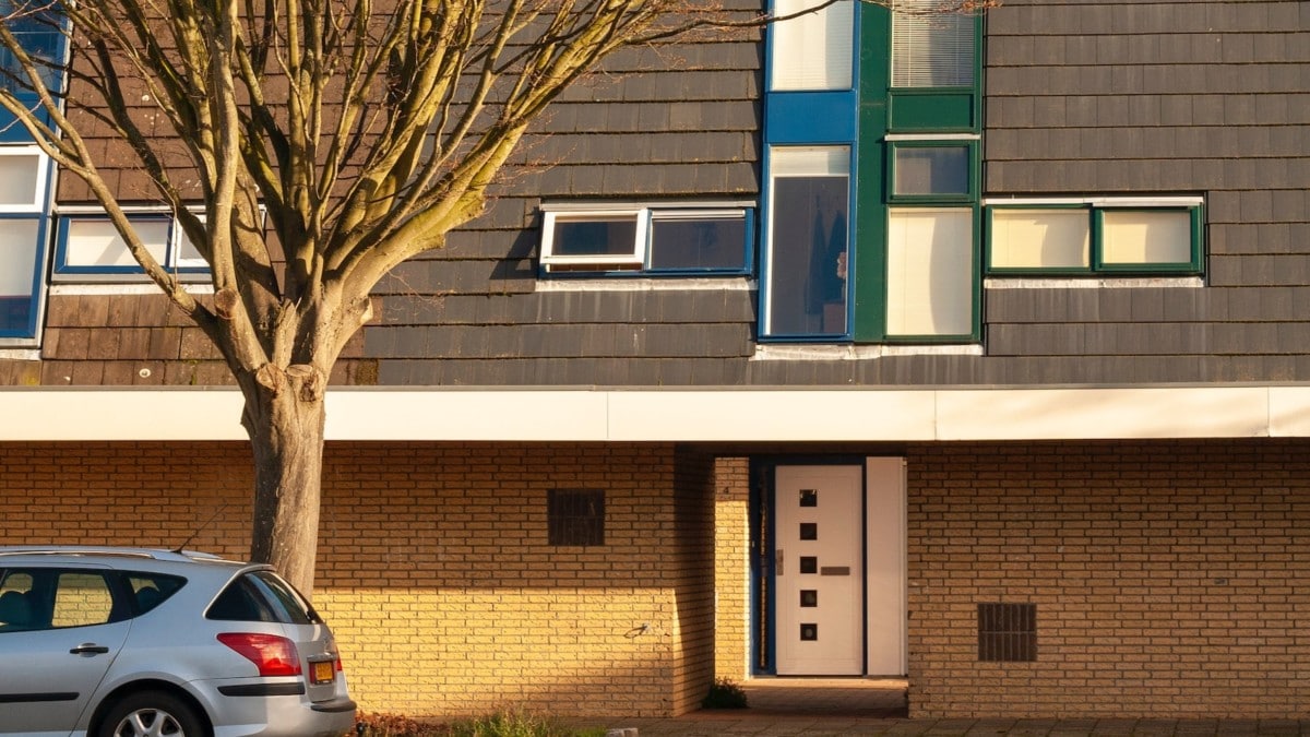 What Is Leiden? | Western Interlock | DIY