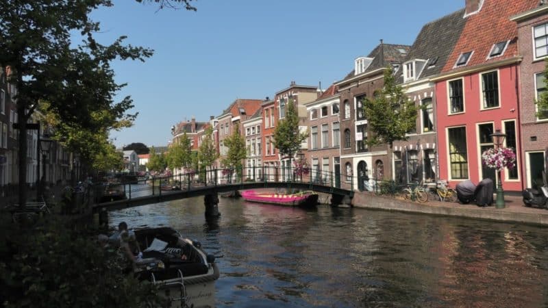 What Is Leiden? | Western Interlock | DIY