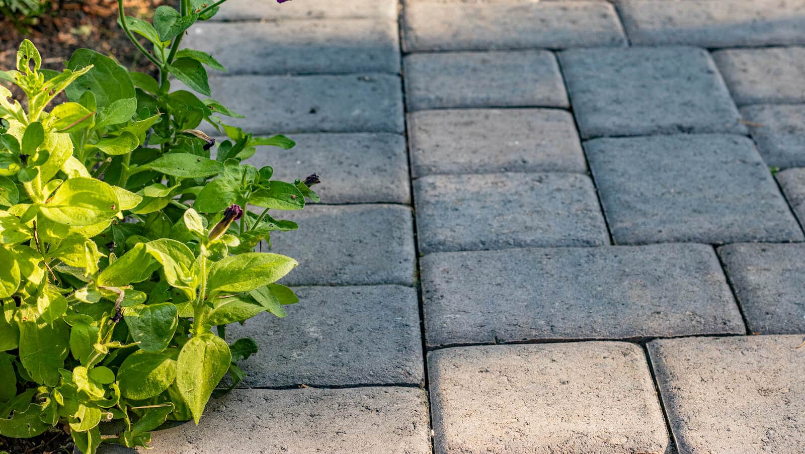 What Is Camino Stone? | DIY