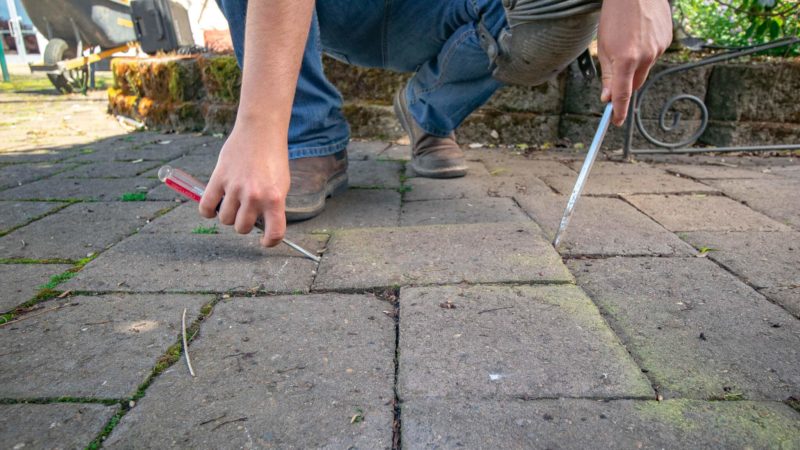 How to Remove Tree Roots Under Pavers | Western Interlock | DIY