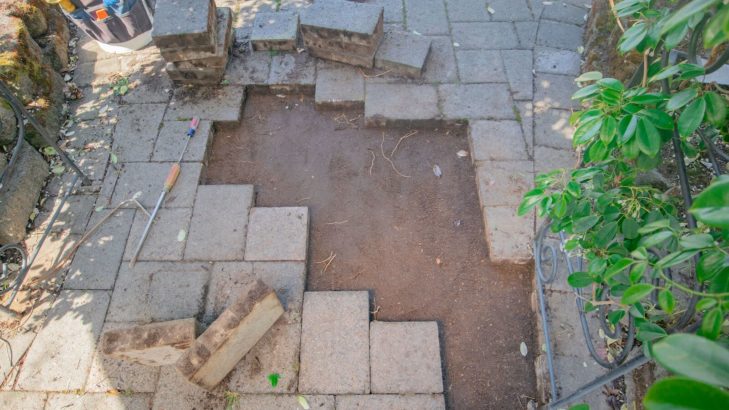 How to Remove Tree Roots Under Pavers | Western Interlock | DIY