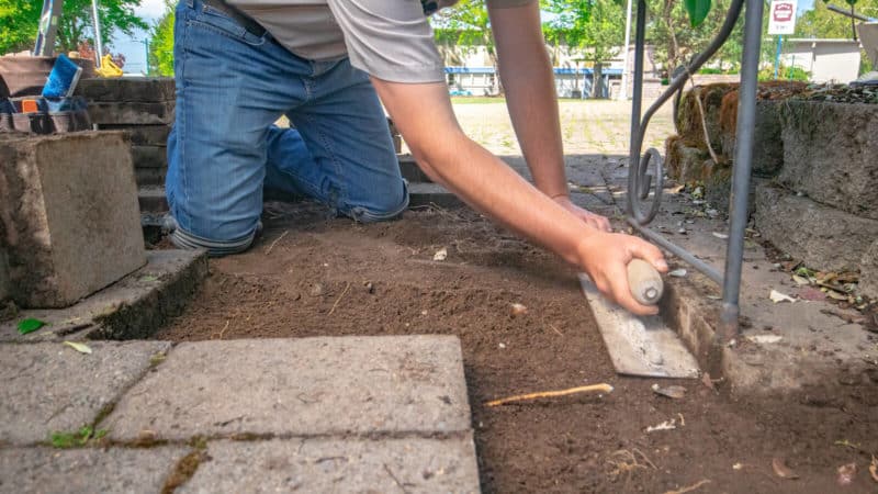 How to Remove Tree Roots Under Pavers | Western Interlock | DIY