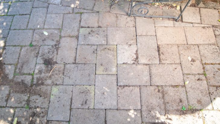 How to Remove Tree Roots Under Pavers | Western Interlock | DIY