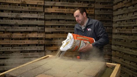How To Use Polymeric Sand When Installing Pavers | DIY