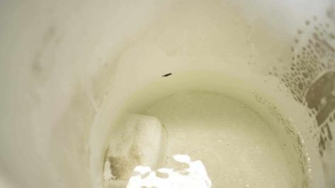 How to Install Perma-Edge Paver Edging | DIY