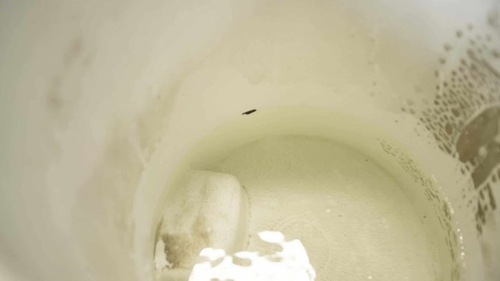 How to Install Perma-Edge Paver Edging | DIY