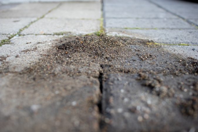 Fine Dry Sweeping Sand vs Polymeric Sand: Which Is Better ? | DIY