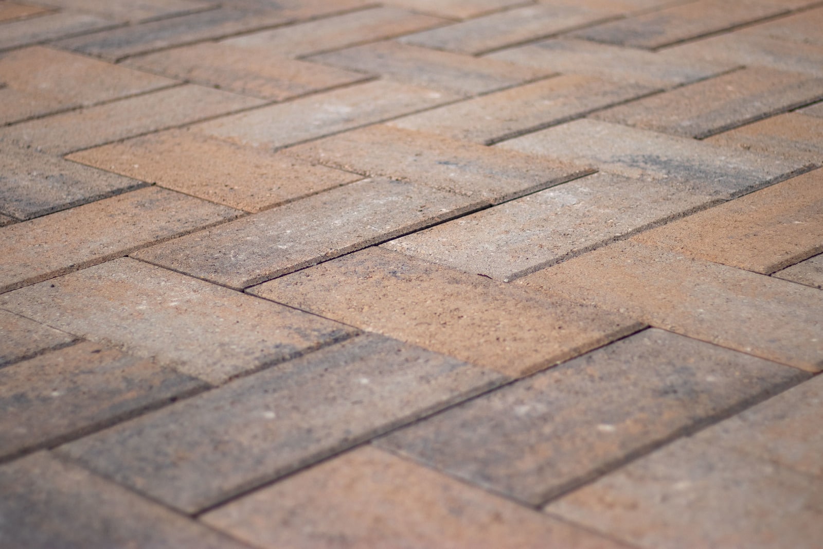 We’ve Extended the Leiden Collection with Double Park | DIY
