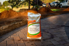 Paver Joint Options: Best Products to Lock Pavers Together | DIY