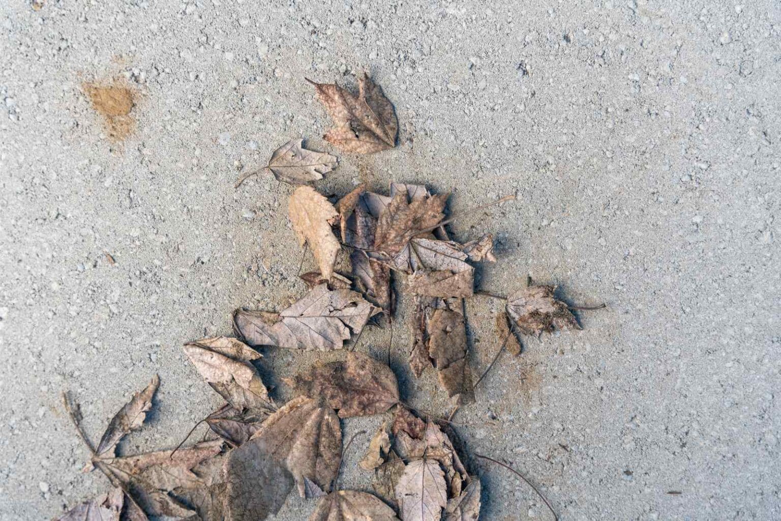 Seasonal Maintenance Checklist for Permeable Pavers | DIY