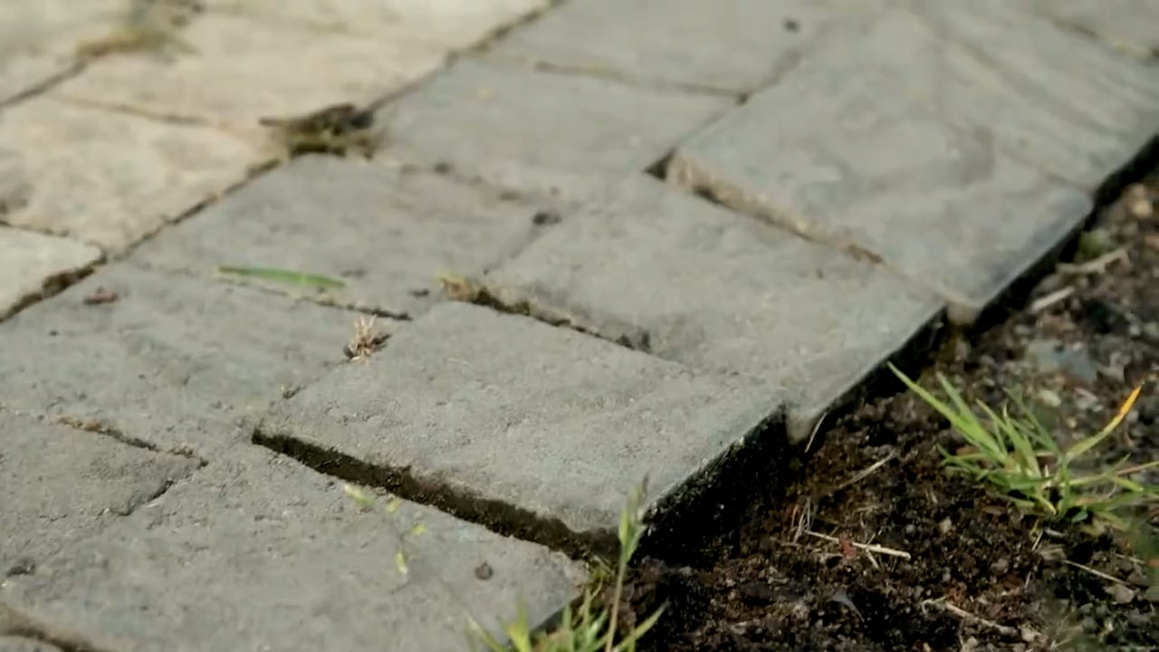 Is Paver Edging Necessary? Everything You Need to Know | DIY
